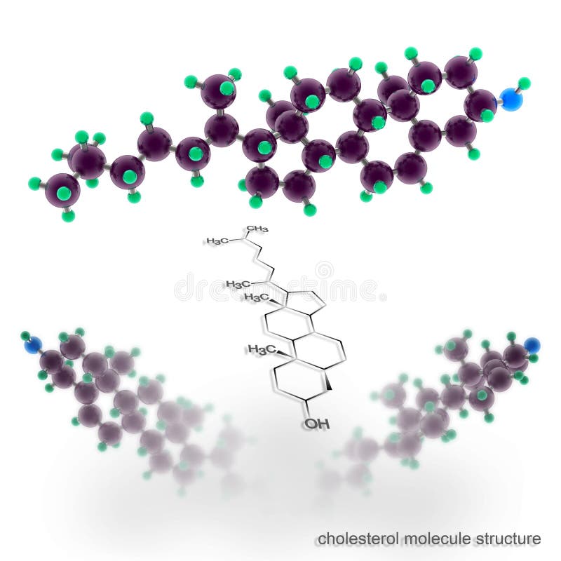 Cholesterol molecule stock illustration. Illustration of liver - 181294088