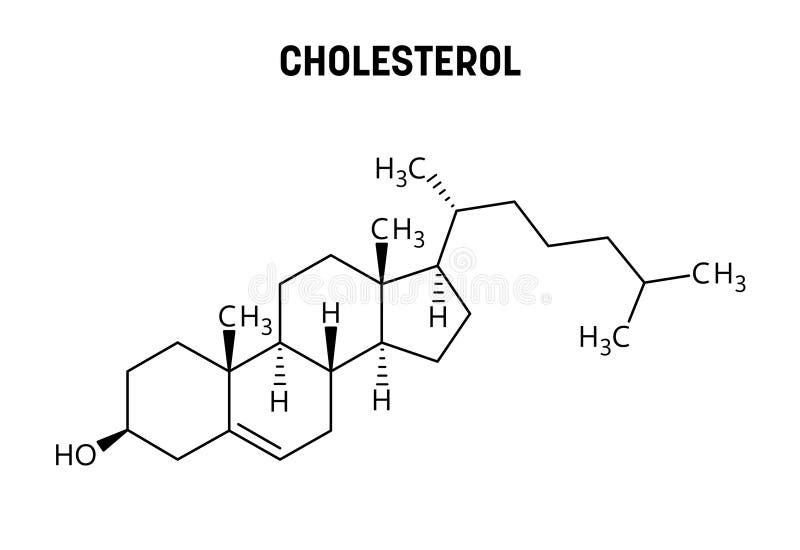 Cholesterol Structural Formula of Molecular Structure Stock Vector ...