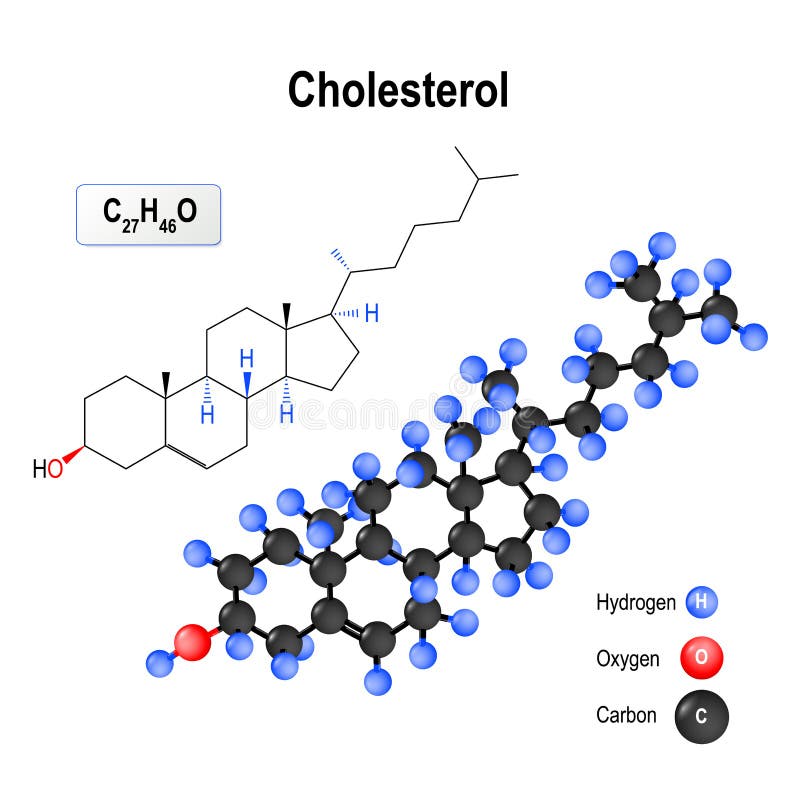 Cholesterol Structuur Van Een Molecule Vector Illustratie ...