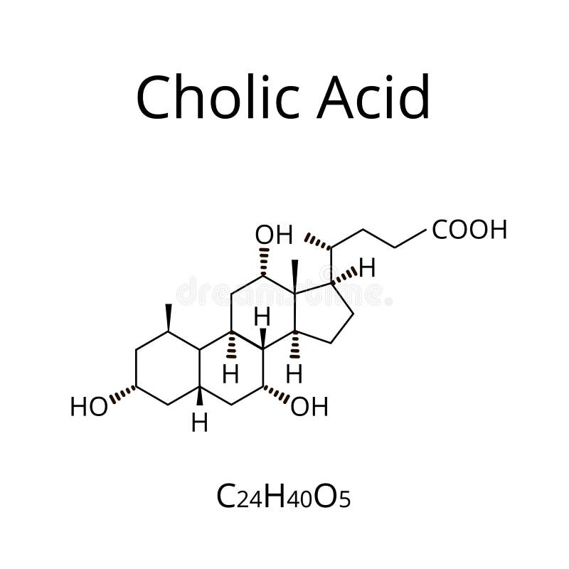 Cholic acid molecule stock illustration. Illustration of acid - 110080308