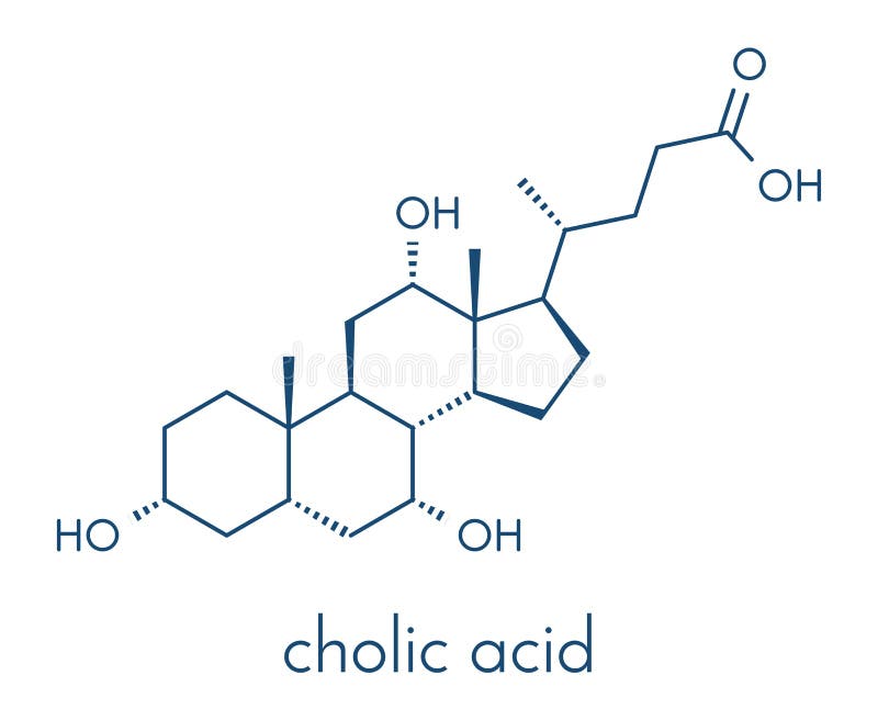 Cholic Acid Cholate Molecule. Main Bile Acid Component. Skeletal ...