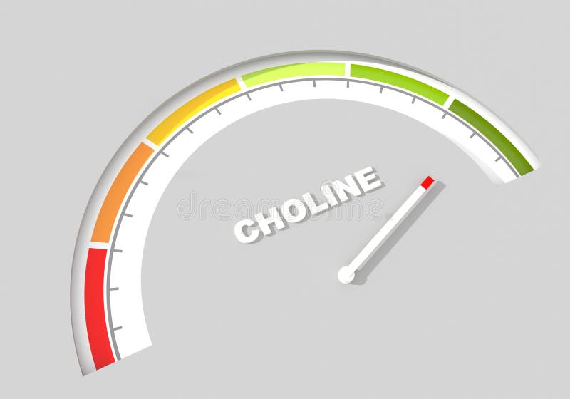 Choline Symbols Stock Illustrations – 396 Choline Symbols Stock ...