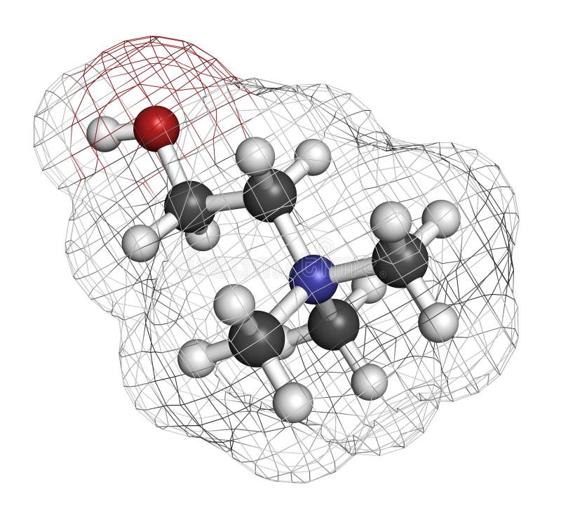 Choline Essential Nutrient Molecule. Skeletal Formula. Stock Vector ...