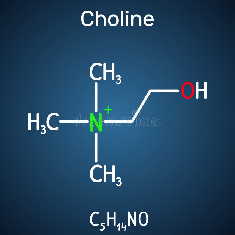 Choline Vitamin-like Essential Nutrien Molecule. It Is A Constituent Of ...