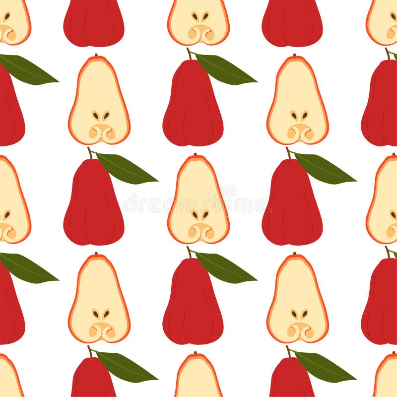 Chompu Fruit. Seamless Vector Patterns Stock Vector - Illustration of ...