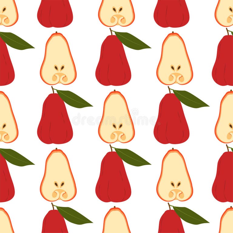 Chompu Fruit. Seamless Vector Patterns Stock Vector - Illustration of ...