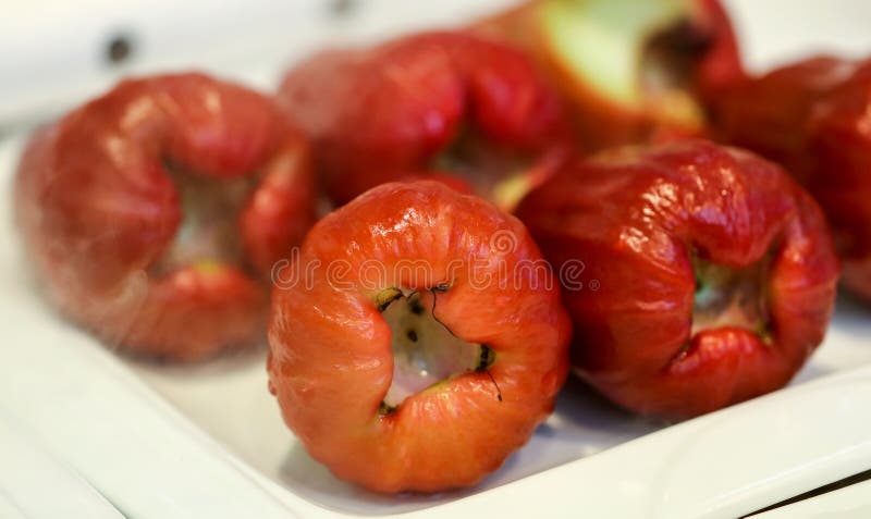 Green Chompu or Malay Apple Growing on a Tree Stock Image - Image of ...