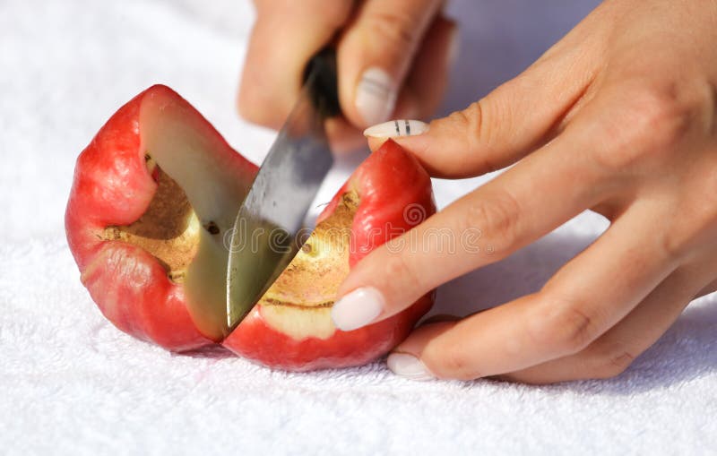 Chompu Cut with a Knife in His Hands Stock Image - Image of summer ...