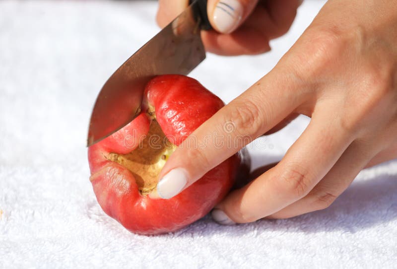 Chompu Cut with a Knife in His Hands Stock Image - Image of summer ...