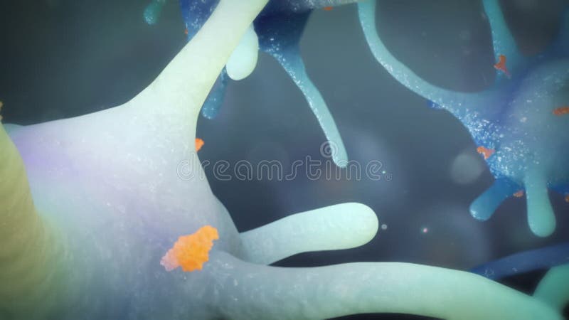 Chondrocyte Growth Animation Cell 3d Medicine Stock Footage - Video of ...
