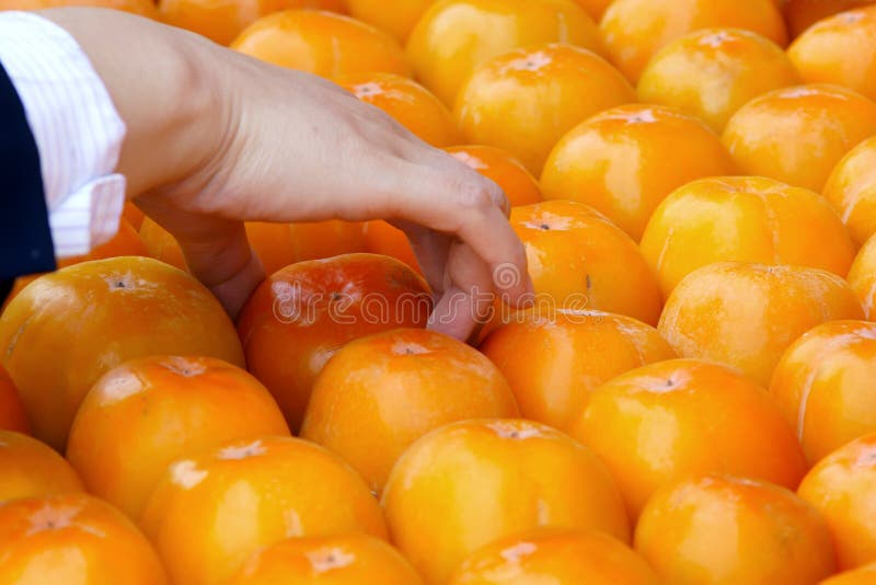 Limp Fruits Stock Photos - Free & Royalty-Free Stock Photos from Dreamstime