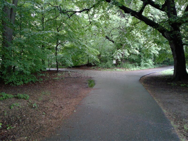 Choose the right path stock photo. Image of right, choose - 120194664