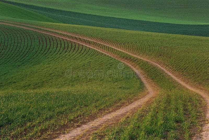 Choose Your Path stock image. Image of direction, land - 1981433