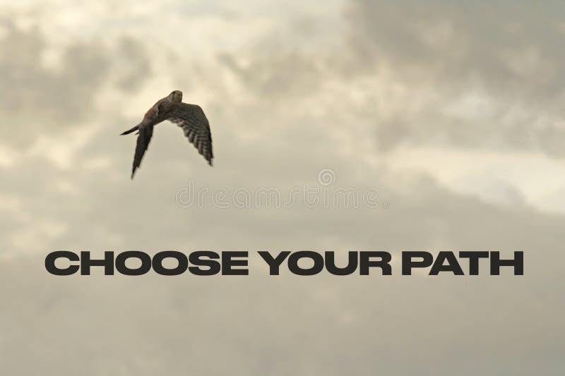 Choose Your Path and Directions - Motivational Phrase is Shown Using ...