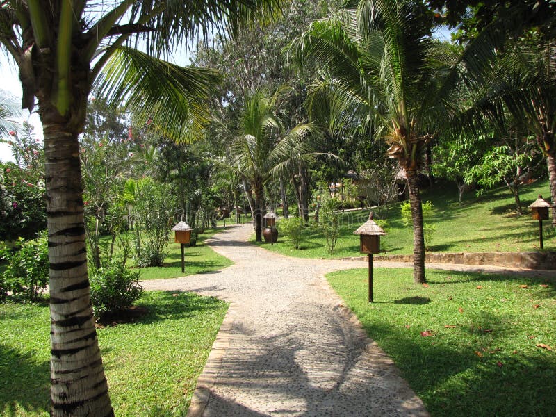 Choose your Path stock photo. Image of unwind, desicion - 68298994