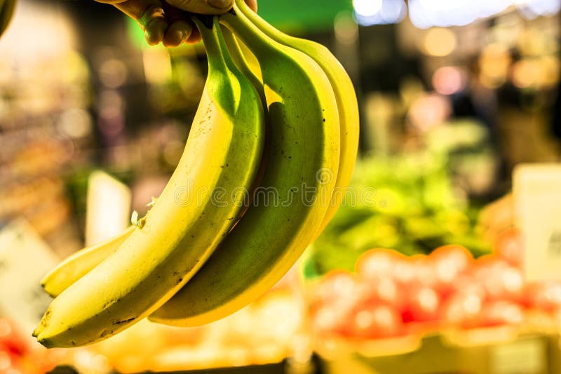 Choosing a Bunch of Ripe Yellow Bananas Stock Photo - Image of grocery ...
