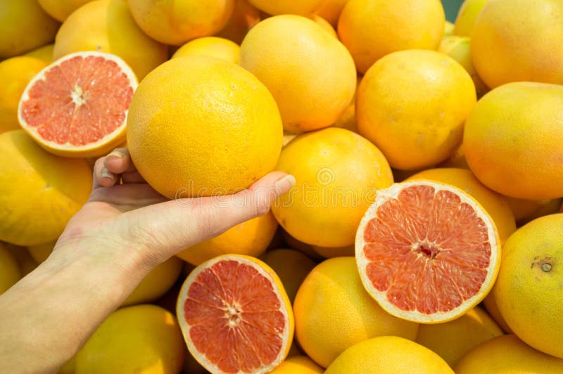 Choosing grapefruit stock image. Image of shopping, market - 40028055