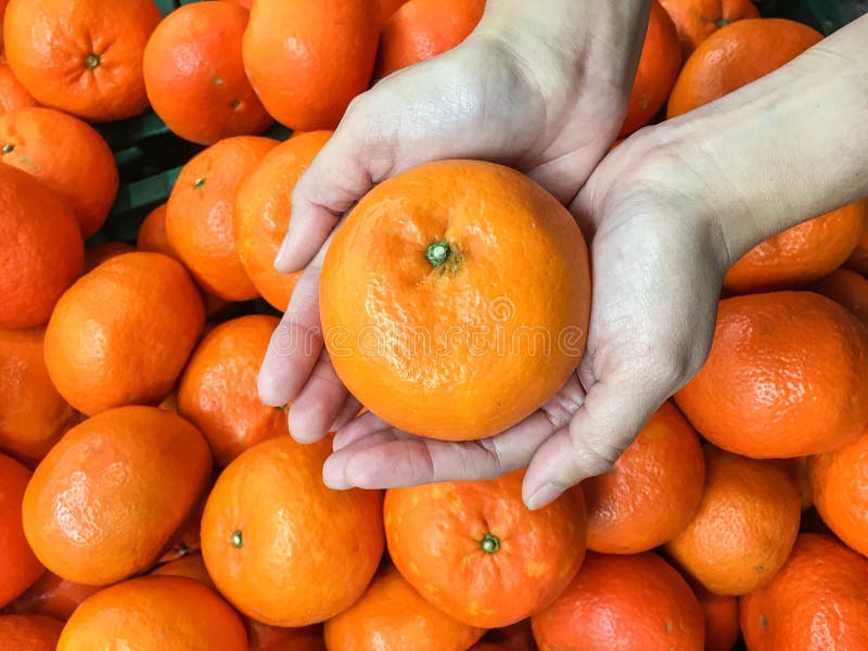 Choosing orange stock photo. Image of supermarket, fruit - 90048488