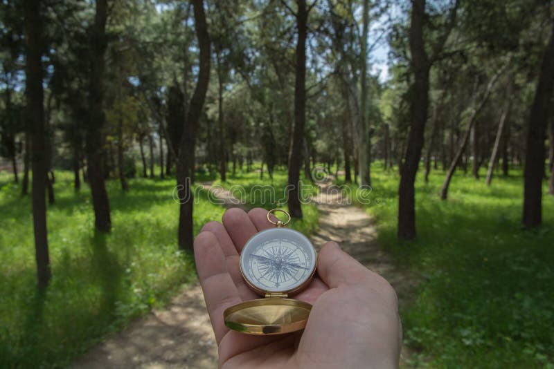 Choosing path stock photo. Image of decisions, holding - 52572100