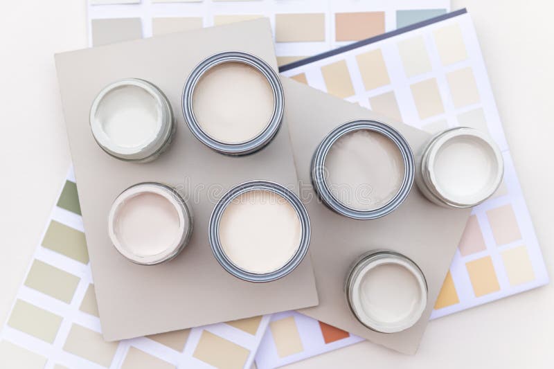 Choosing wall paints stock photo. Image of repair, grey - 242438980