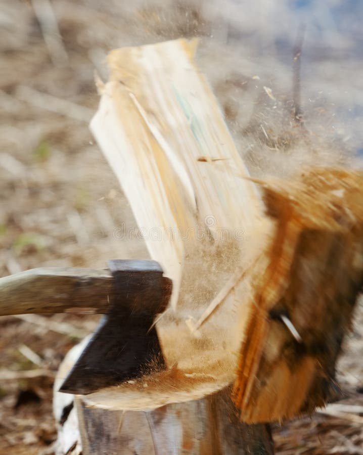 Chop Firewood for Fire in Wood Stock Photo - Image of forest, spile ...