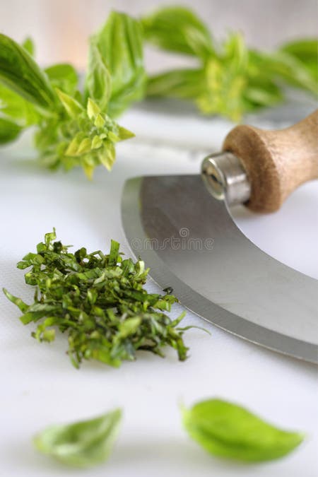 Chopped basil and chopper stock photo. Image of green - 23707736
