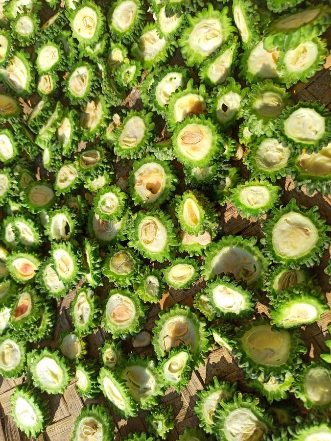 Chopped bitter guard stock image. Image of chopped, guard - 212245529