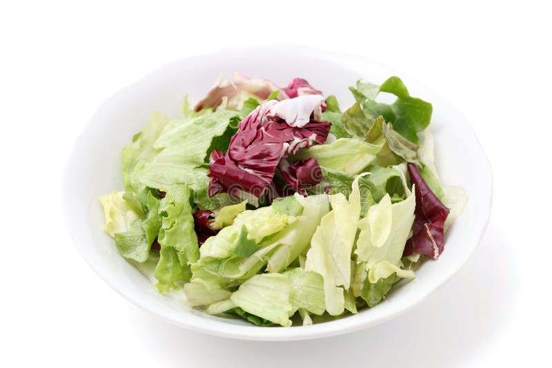 Chopped cabbage in a plate stock photo. Image of cuisine - 360091028