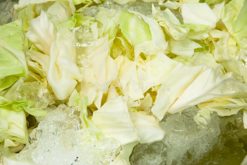Chopped cabbages stock photo. Image of white, ingredient - 20778780