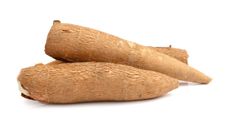 228 Cassava Skin Stock Photos - Free & Royalty-Free Stock Photos from ...