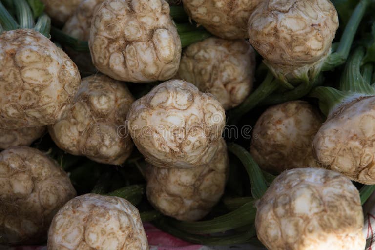Chopped Celery Root. Large Roots Stock Photo - Image of vegan, celeriac ...