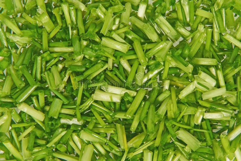 Chopped chives stock image. Image of ingredient, vitamins - 50055899