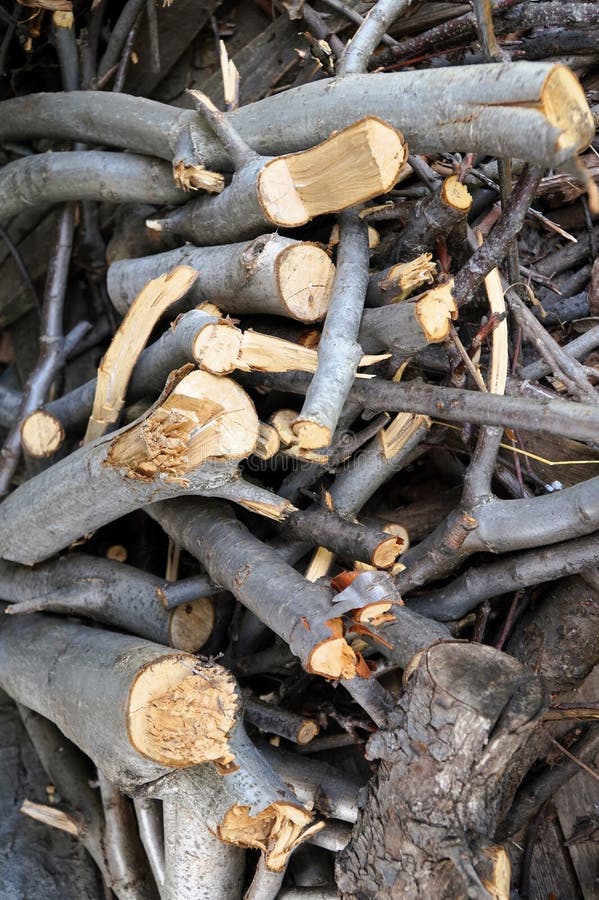 Chopped Firewood Stacked Firewood in the Yard Near the House Stock ...