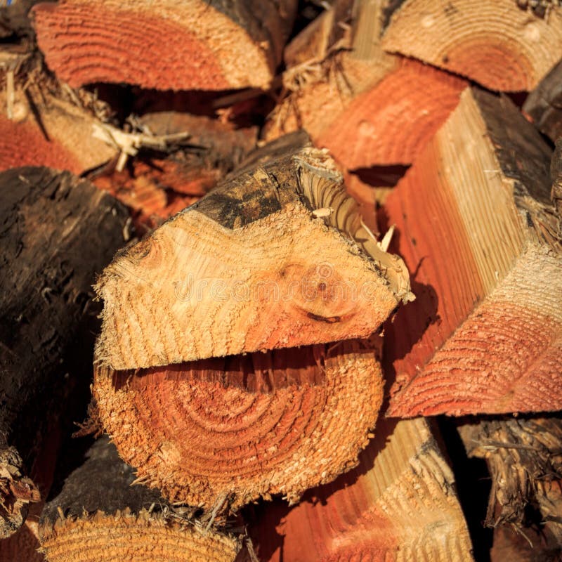 Chopped firewood stack stock image. Image of natural - 89305007