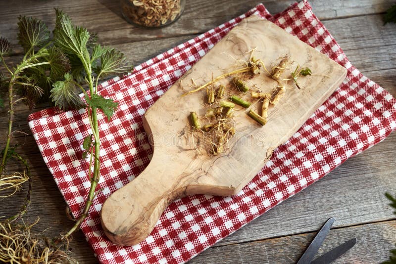 Chopped Fresh Stinging Nettle Root on a Cutting Board Stock Photo ...