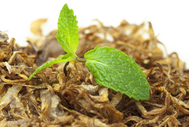 Chopped and Fried Onions and Mint Stock Image - Image of natural, macro ...