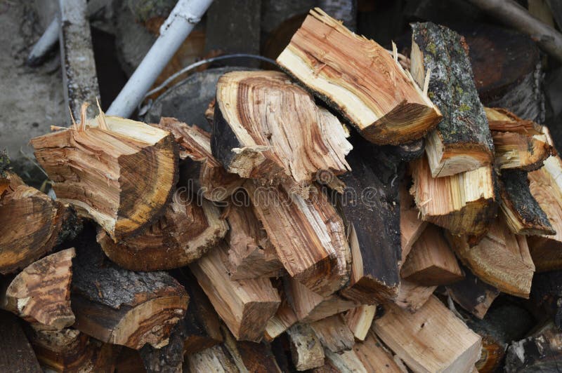 Chopped Fruit Tree Firewood is Stacked in a Small Pile Stock Photo ...