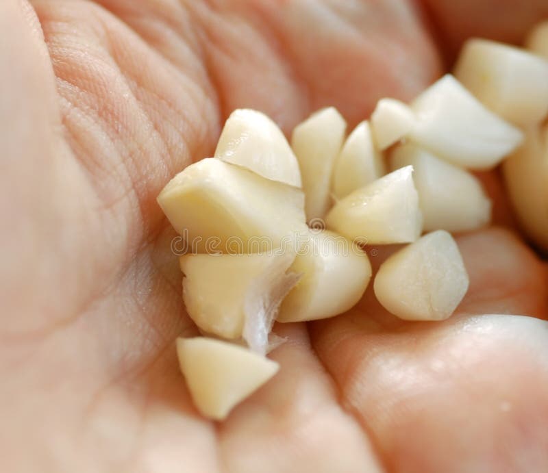 Chopped garlic on hand stock photo. Image of macro, peeled - 33568154