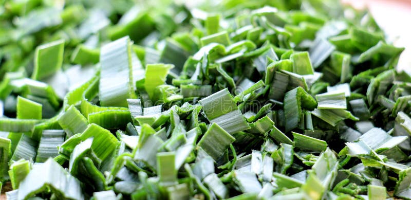 Leek texture stock photo. Image of fresh, natural, ingredient - 3743510