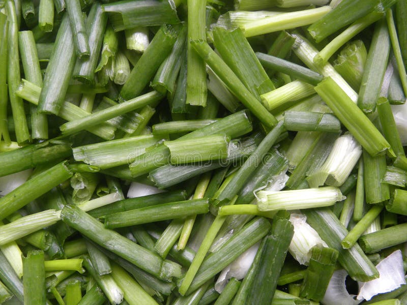 Cut green Scallions stock image. Image of color, bulbs - 185265549