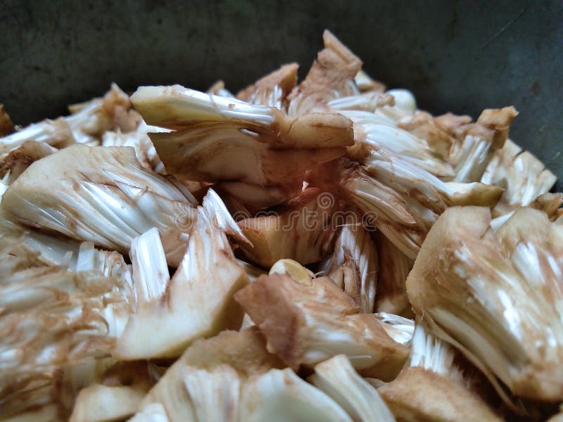 Chopped Jackfruit for Cooking Stock Image - Image of produce, breakfast ...
