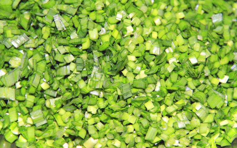 Chopped Leeks stock photo. Image of cooking, cuisine - 50535058