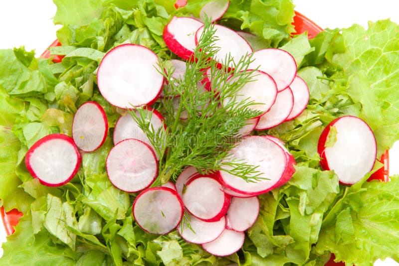 Chopped Lettuce and Radishes Stock Image - Image of dill, dietary: 19859333