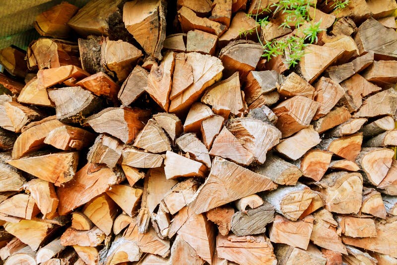 Chopped Logs for Winter Fire Stock Image - Image of tree, bark: 81710699