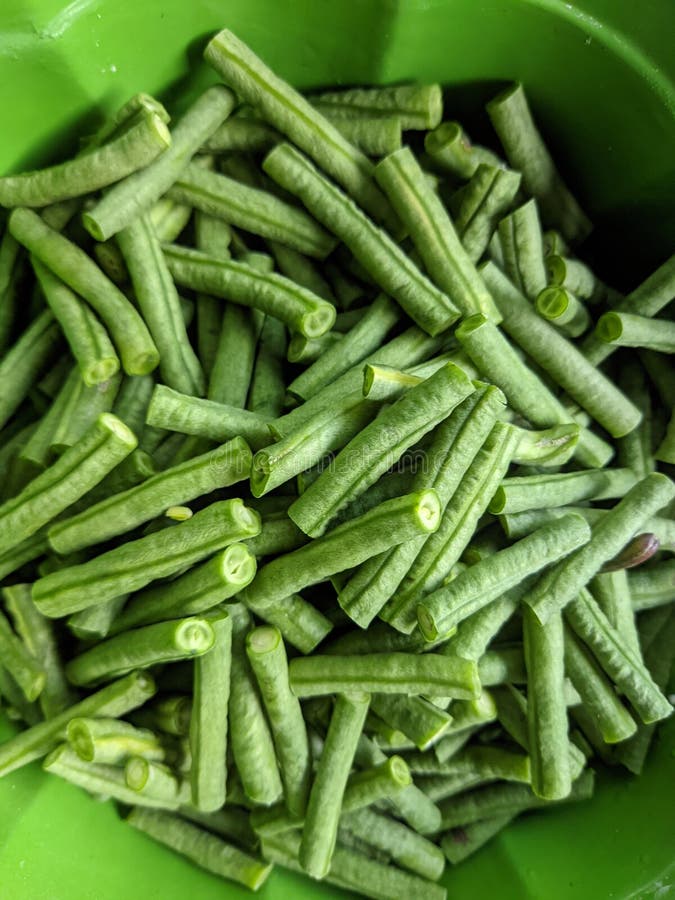 Chopped Long Yard Bean Fly Fall in Turner, Cut Green Long Beans for ...