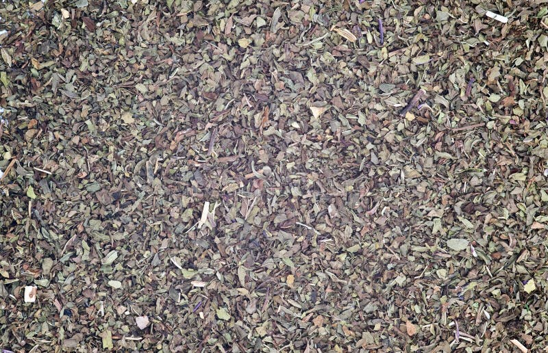 Chopped Mint Leaves for Use As Background Stock Photo - Image of ...