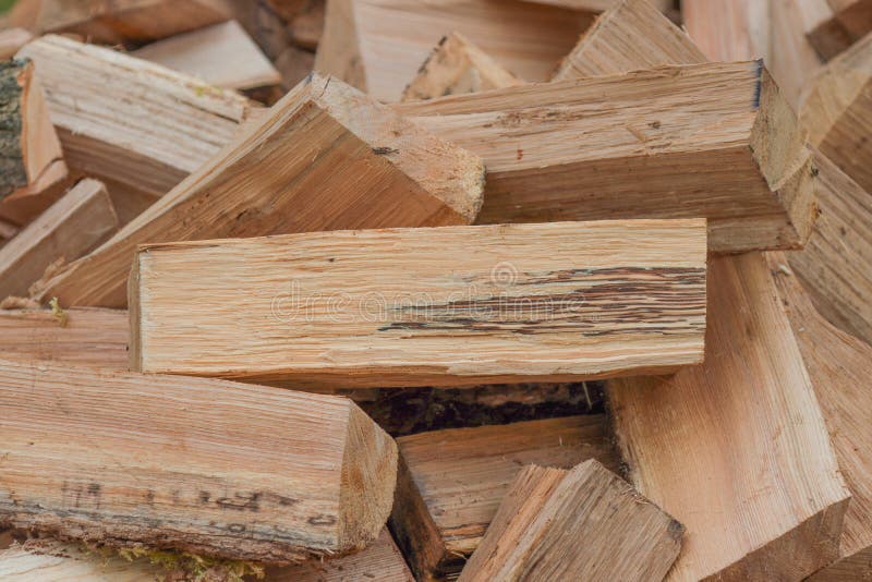 Chopped oak wood firewood stock image. Image of stump - 234960205