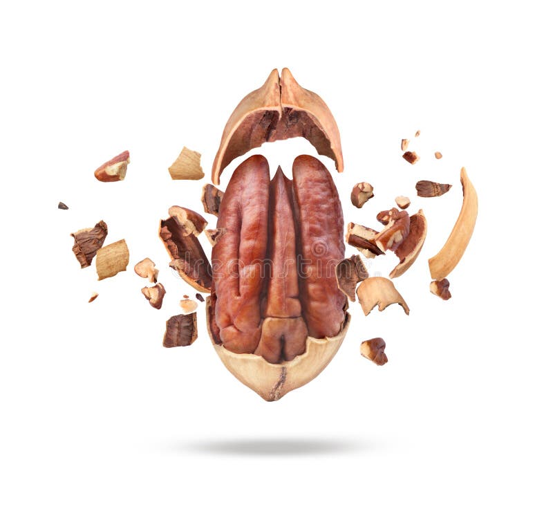 Chopped Pecan Nuts with Shells on White Plate in the Air Stock Photo ...