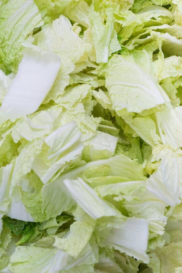 Chopped peking cabbage stock photo. Image of leaf, butterhead - 69070960
