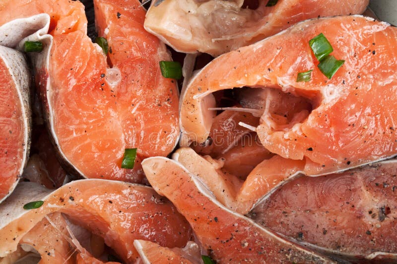 Chopped pieces of red fish stock image. Image of salt - 19538745